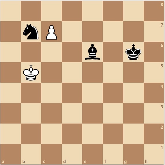 How to Checkmate With Bishop and Knight? (Explained)