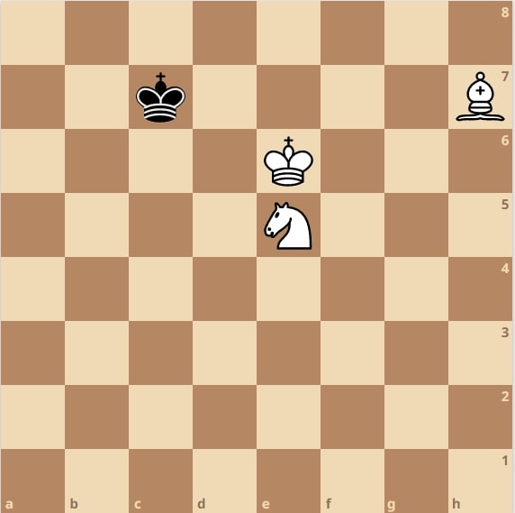 How to Checkmate With Bishop and Knight? (Explained)