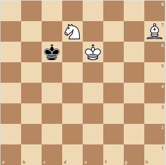 How to Checkmate With Bishop and Knight? (Explained)